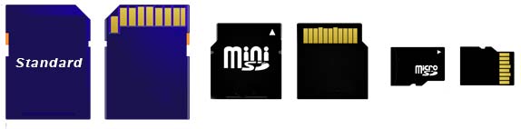 SD Cards for Trail Cameras (Buying Guide 2023)