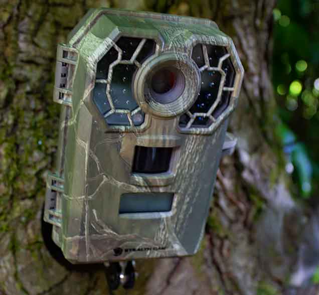 Trail Camera Detection Range - Guide to How it Works
