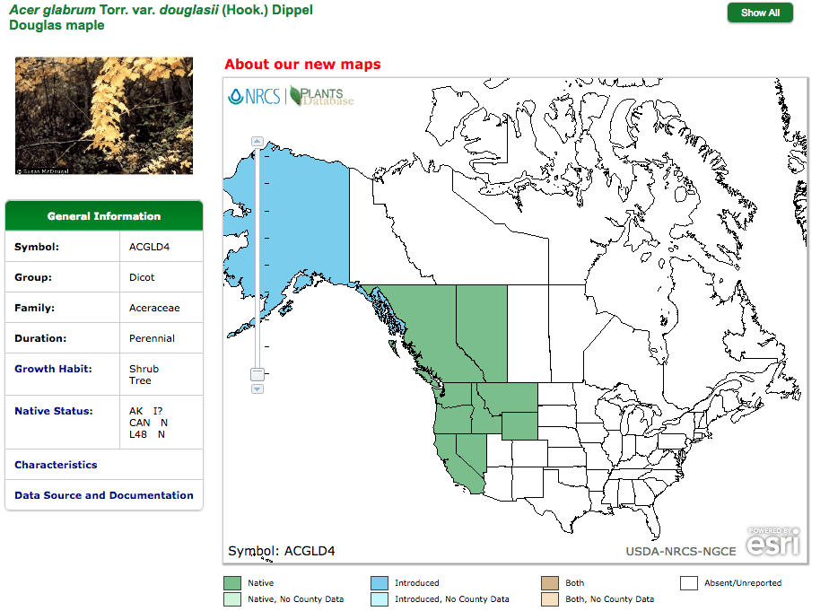 How to Identify Different Types of Trees: Resource Guide