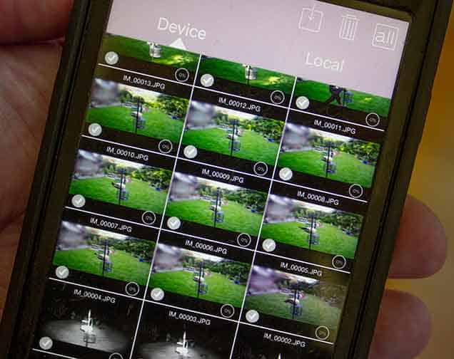 Campark WiFi Trail Camera - T80 Wildlife Camera Review