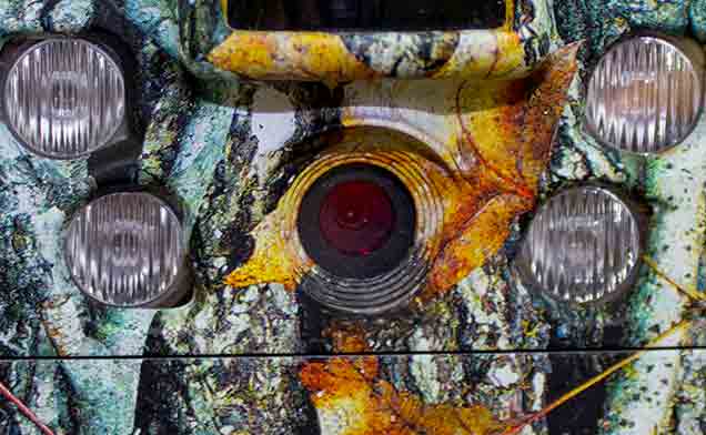 How to Prevent Trail Camera Condensation (Easy & Quick Solution)