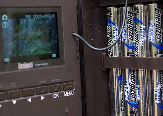 Best AA Batteries for Trail Cameras - Buying Guide (2023)